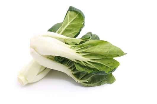Bok choi_Joi choi | The Potted Wok - Asian Vegetables